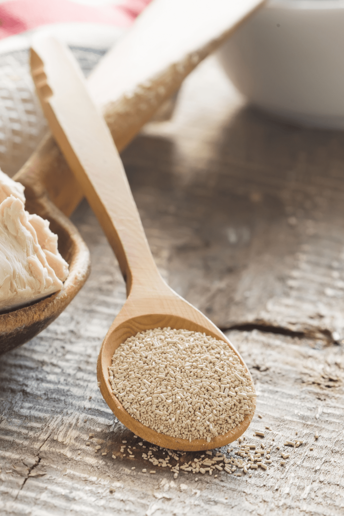 Sourdough Vs Yeast - What's The Difference?