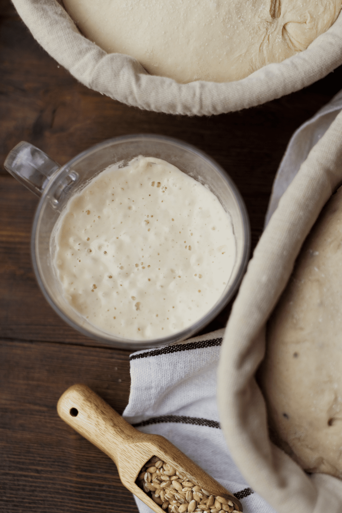 Sourdough Vs Yeast - What's The Difference?